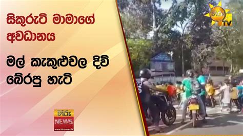 සිකුරුටි මාමාගේ අවධානය මල් කැකුළුවල දිවි බේරපු හැටි Hiru News Youtube