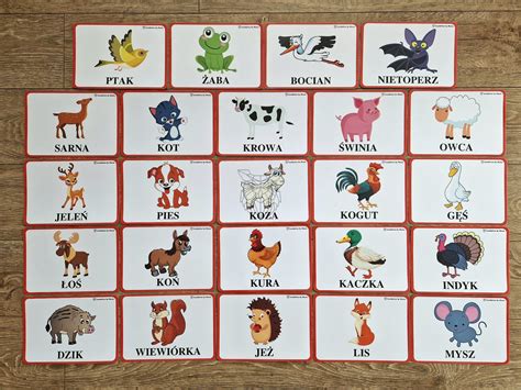 Zwierzęta Wiejskie i Leśne Plansze PDF Teach Fun by Monia