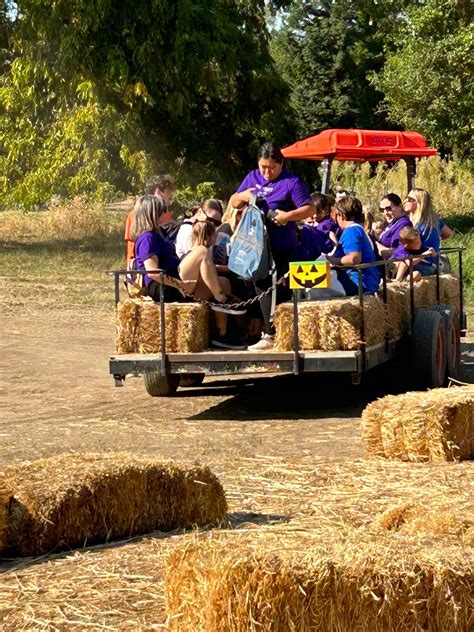 Rickey Ranch Pumpkin Patch Granite Bay Ca