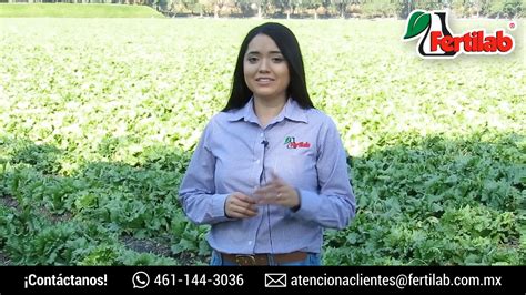 ¿por Qué Es Importante El Calcio En El Cultivo 👩‍🌾🚜 ¿sabías Que El