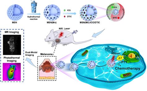 Dual Modal Imaging Guided Drug Delivery System Ijn