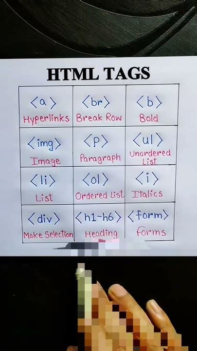 html tags 🔤🍀🌿🍃☘️🌴🌻 🍁🍂🏝️🌸🌺🌼🏵️💓 ☺️ shortvideo english viralvideo education learning youtube