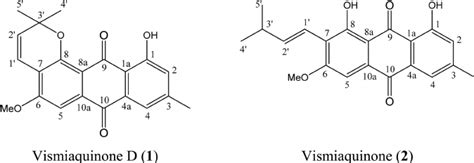 Compounds Isolated From Vismia Mexicana Leaves Download Scientific
