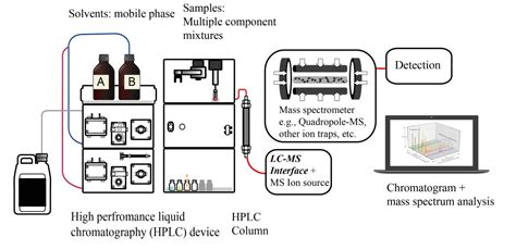 Liquid Chromatography Mass Spectrometry Lc Ms Ms Analysis Northeast