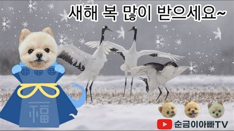새해 복많이 받으세요 Youtube