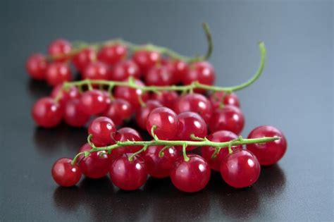 Premium Photo Red Currant