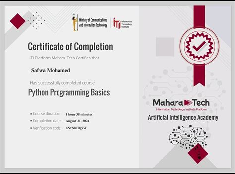 Safwa Mohamed On Linkedin Just Completed The Python Programming Basics Course On 32 Comments