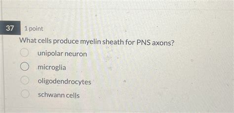 Solved 371 ﻿pointwhat Cells Produce Myelin Sheath For Pns