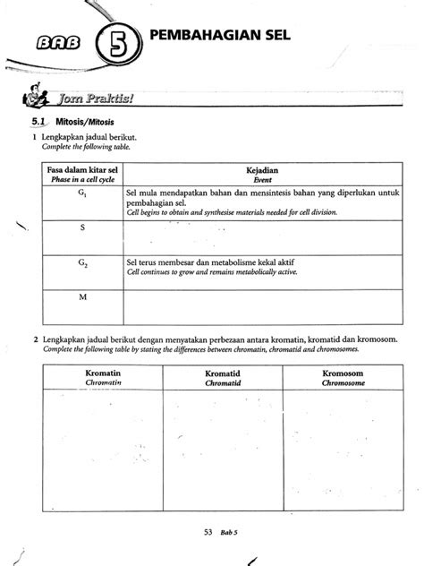 Form 4 Biology Chapter 6 Cell Division Pdf