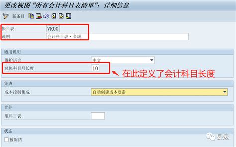 科目主数据科目表层和公司代码层 Csdn博客