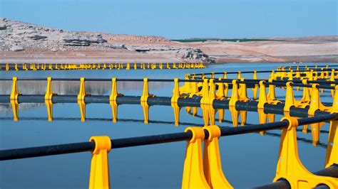 پشتیوانیی حكومەت بەرهەمهێنانی سامانی ماسی لە هەرێمی كوردستان فراوان كردووە