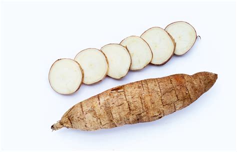 Invest In Cassava Business Africa For Investors