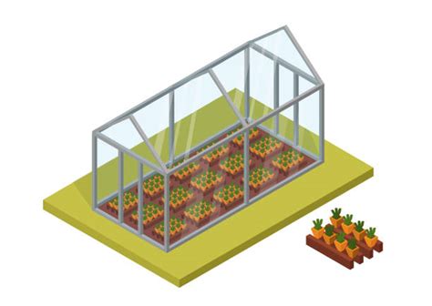 Green House Shed插圖和矢量圖形 Istock