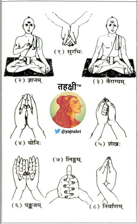 तहक्षी™ On Twitter यह तीन नाड़ियाँ मेरुदण्ड को चीरने पर प्रत्यक्ष रूप