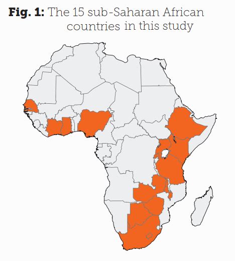 Brochure Bridging Gender Data Gaps In Africa Open Data Watch