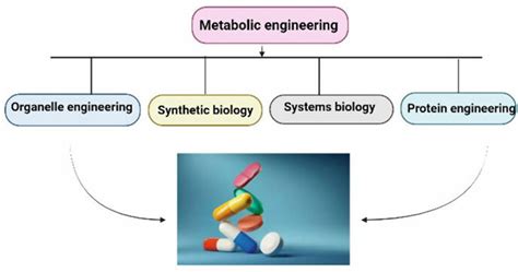 1 Metabolic Engineering Organelle Engineering Mitochondrial