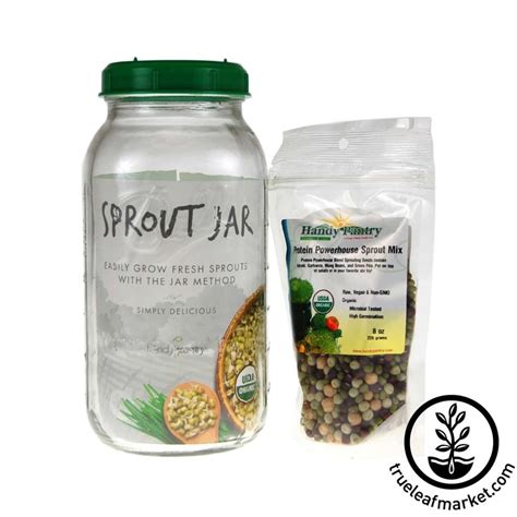 Handy Pantry Sprouting Jar Kits Sprouter Plastic Or Stainless Lids