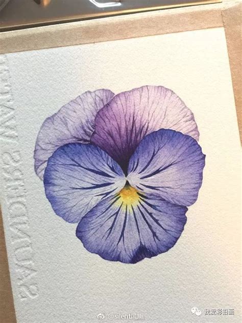 How To Draw A Pansy Step By Step Drawing Guide By Dawn Artofit