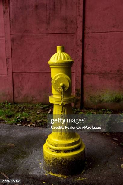 Standpipe Plumbing Photos And Premium High Res Pictures Getty Images