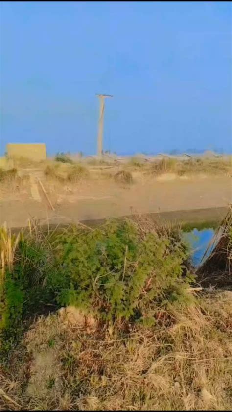 Mukesh Kumar 42831mukesh • Instagram Photos And Videos