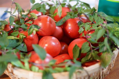 9000以上の無料Petit Tomato Kiyooka Sumiko トマト画像 Pixabay