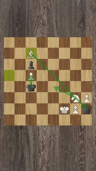 Конь и слон против ферзя легкая победа Chess Youtube