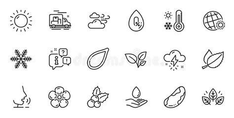 Outline Set Of Leaves Mint Leaves And Water Care Line Icons For Web Application For Design