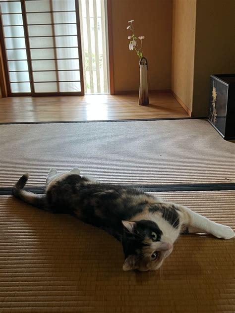 こんな日もあります 今日の日は誰だって初めて！！ 寺嫁の穏やかに幸せに生きるヒント