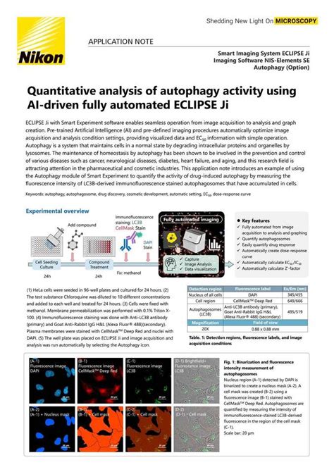 Quantitative Analysis Of Autophagy Activity Using Ai Driven Fully Automated Eclipse Ji