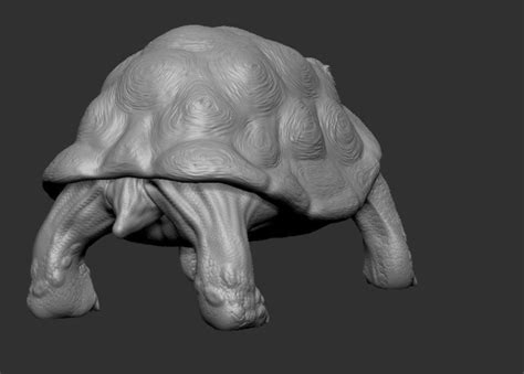 3D Printed Tortoise By Przemyslaw Wolnicki 1993 Pinshape