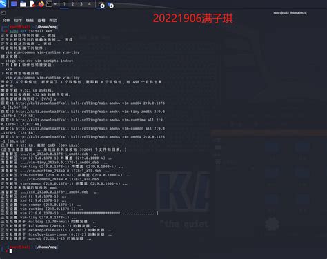 20221906 2022 2023 2 《网络攻防实践》实践9报告 Csdn社区