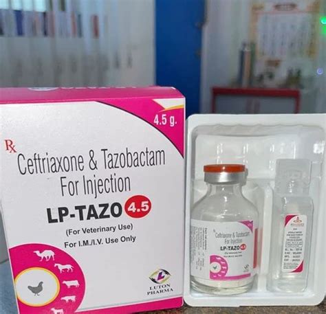 Veteniary Ciprofloxacin Injection Manufacture At ₹ 10piece