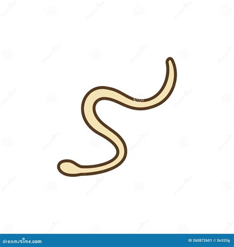 Roundworms Concept Vector Colored Icon Or Sign Stock Vector