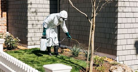 The 10 Best Exterminators In Brooklyn With Free Estimates