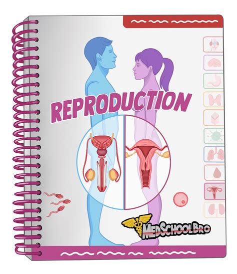 The Complete Mcat Bundle Medschoolbro