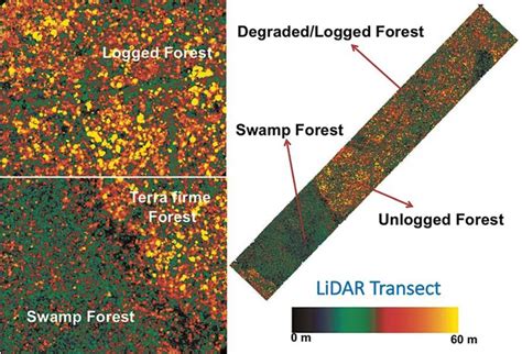 Example Of LiDAR Random Sample Covering An Area Of Approximately 2000 Download Scientific