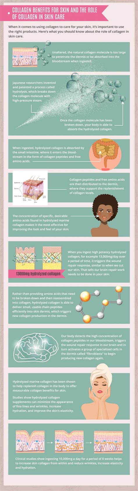 Collagen Facts Collagen Benefits Collagen Collagen Peptides