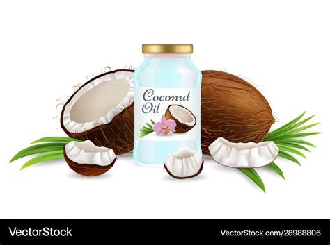 Natural Coconut Oil Beauty Product Royalty Free Vector Image