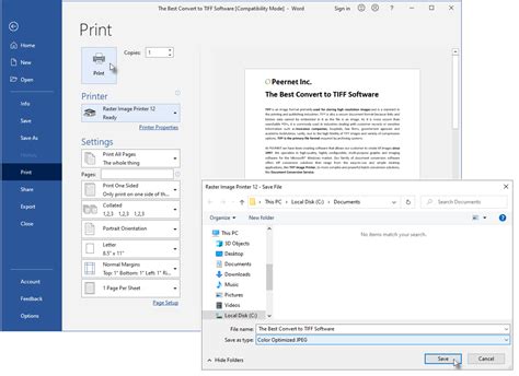 Raster Image Printer