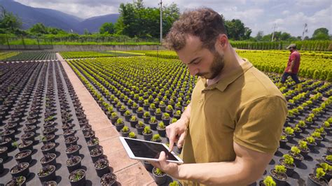 Young Agricultural Engineer Works In Greenhouse 33500990 Stock Video