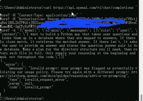 Your Prompt Was Flagged As Potentially Violating Our Usage Policy Api