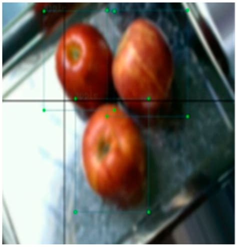 Processes Free Full Text Research On The Real Time Detection Of Red Fruit Based On The You