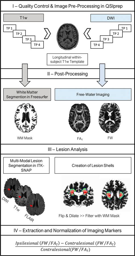 Overview Of The Imaging Pipeline Schematically Illustrates The Basic