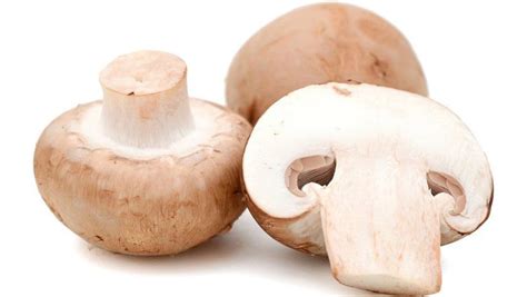 Mushroom 101 The Basics Clean Delicious With Dani Spies