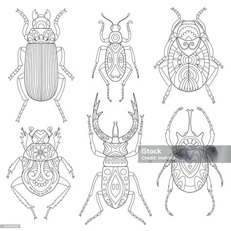 색칠하기 페이지 성인 딱정벌레 세트를위한 안티 스트레스 색칠 공부 책 컬러링 북 페이지 일러스트레이션 기법에 대한 스톡 벡터 아트 및 기타 이미지 컬러링 북 페이지