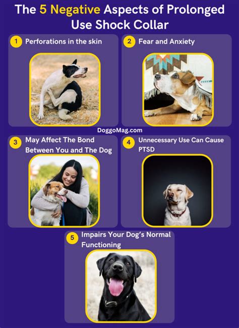 The Shock Collar Side Effects During Prolonged Use By Trainer Doggomag