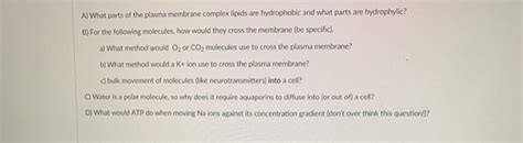 Solved A What Parts Of The Plasma Membrane Complex Lipids Chegg