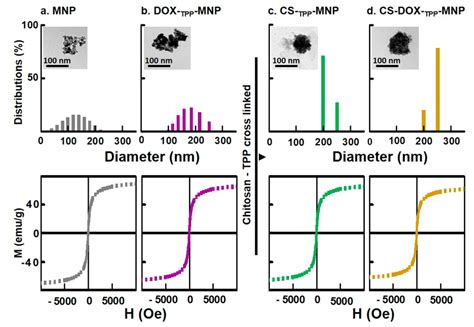 Characterizations Of The Synthesized Nanoparticles Size Distribution