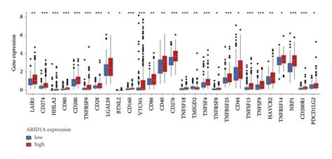 A Heatmap For Immune Responses Based On Cibersort Estimate