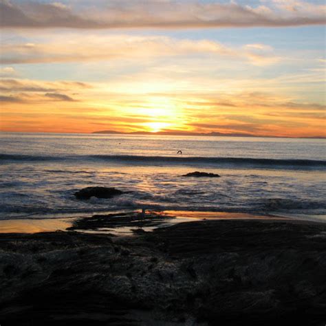 Sunset Youtube Music